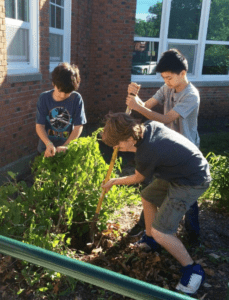 The Green Team - The Green Team